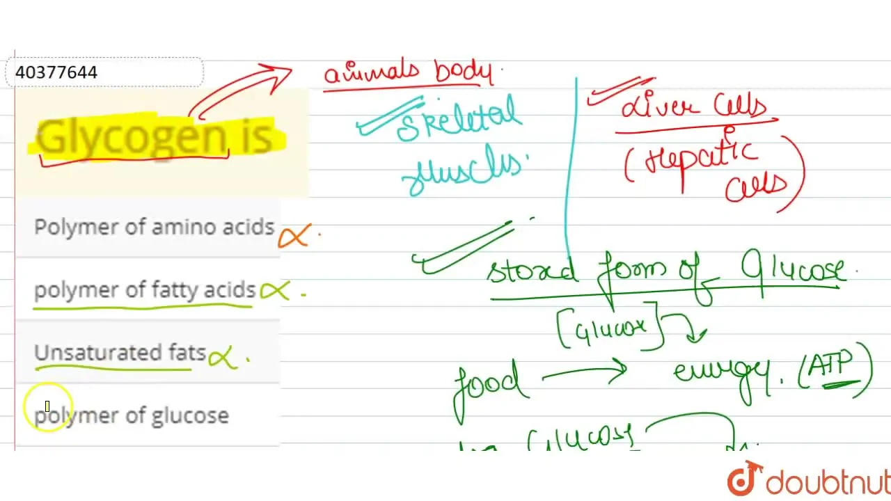 [Solved] Glycogen is
