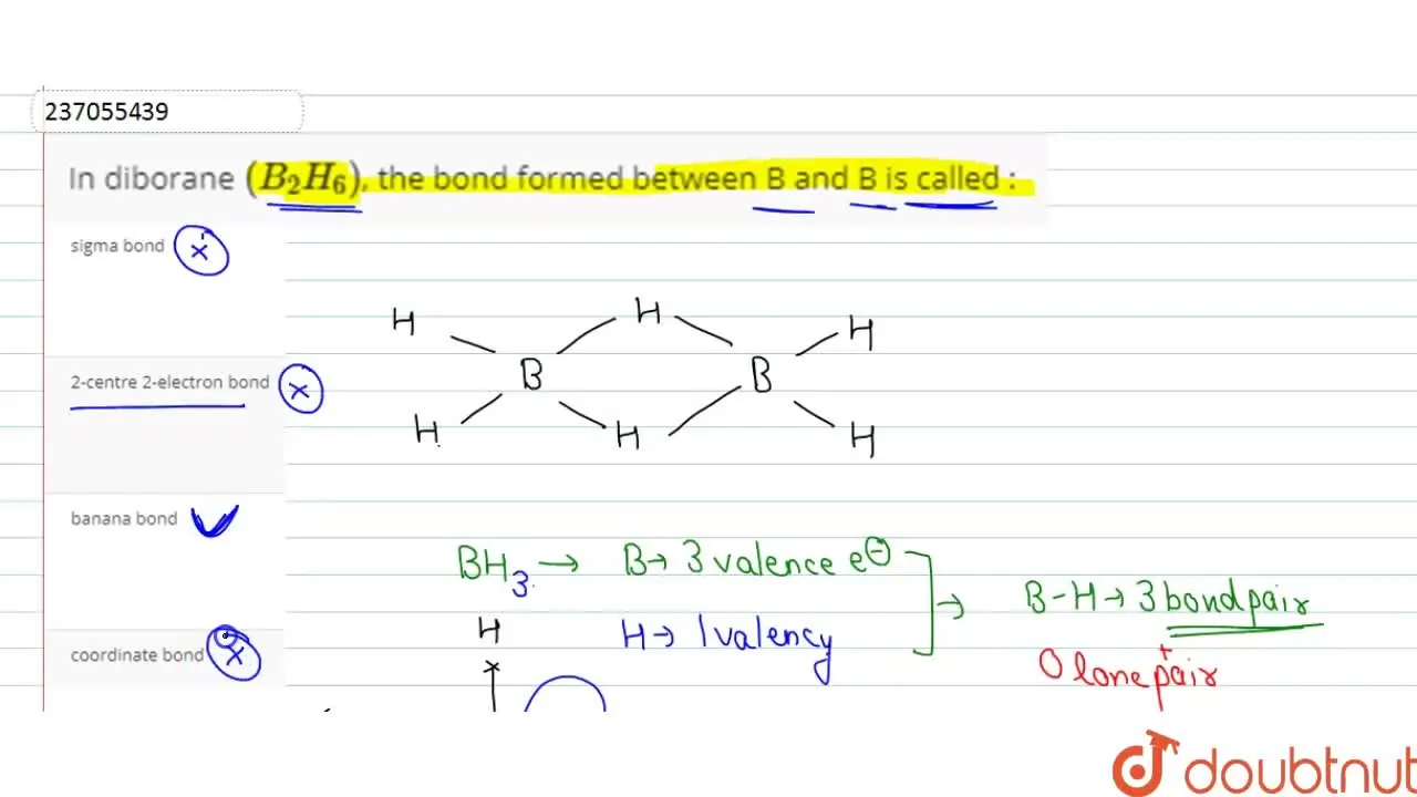 In diborane (B(2)H(6)), the bond formed between B and B is called