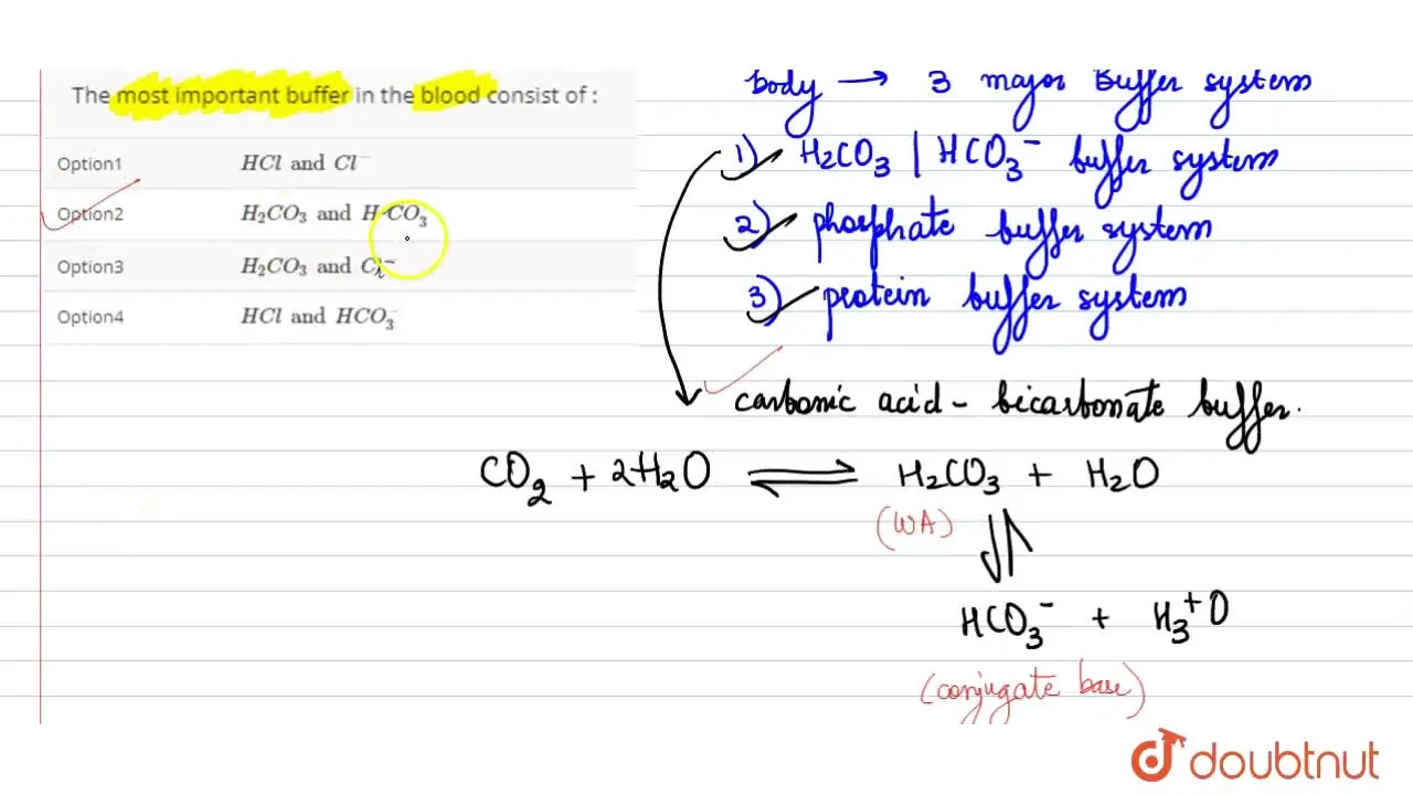 The most important buffer in the blood consist of
