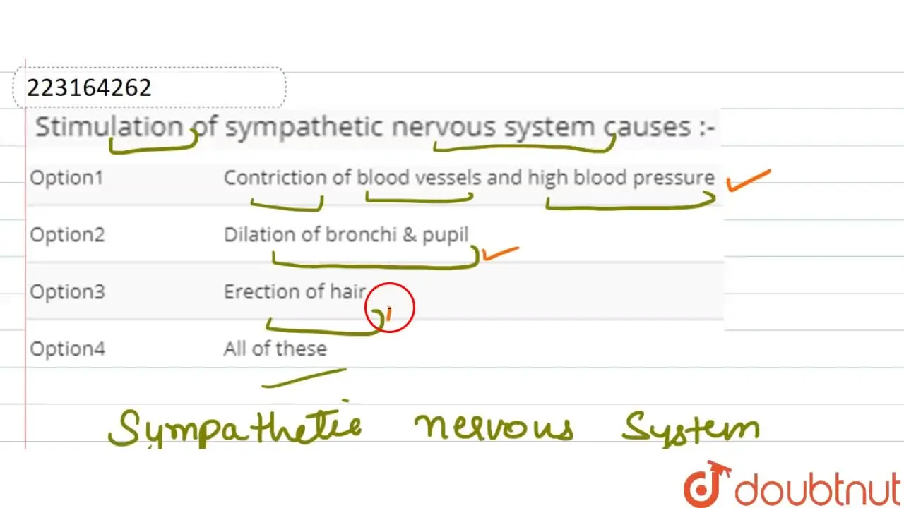 Stimulation of sympathetic nervous system causes