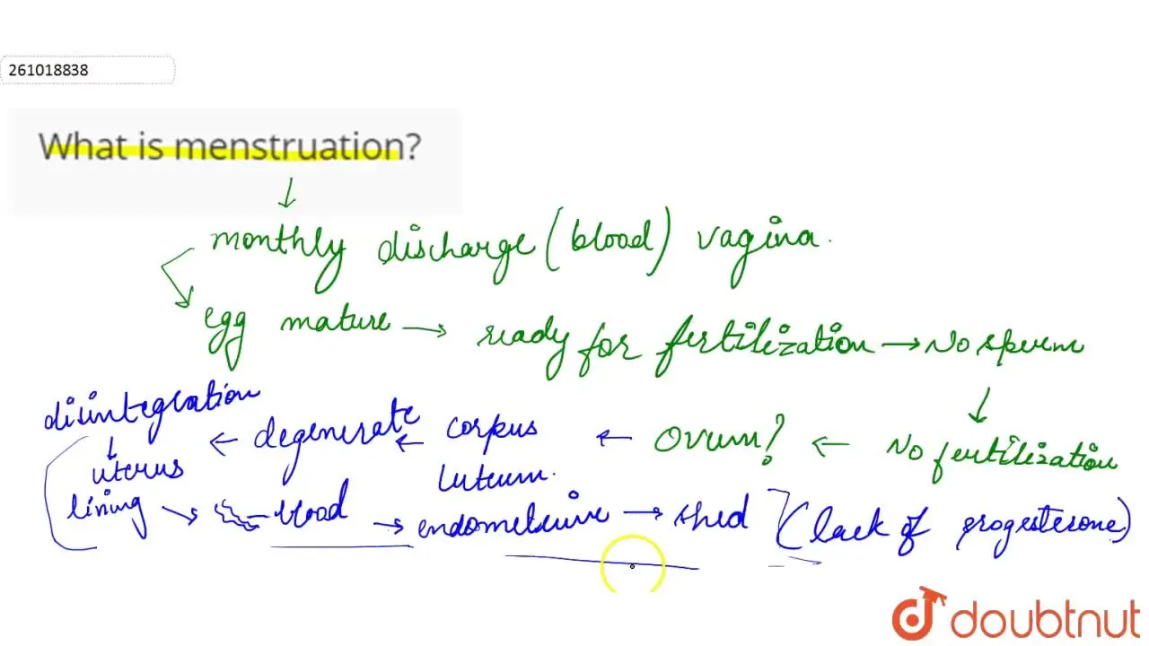 What is menstruation?