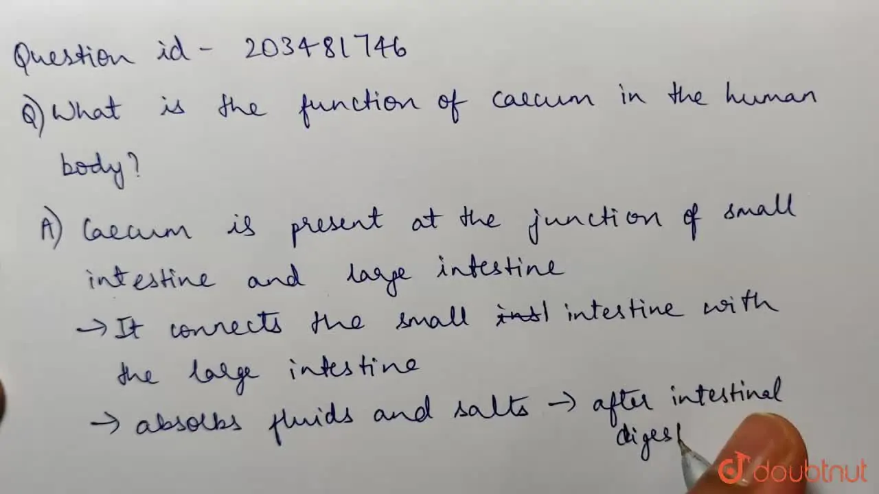 [Kannada Solution] What is the function of caecum in the human body