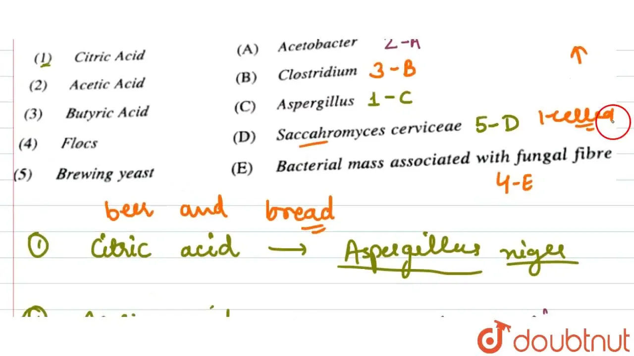 Match the column (1) with column (2)