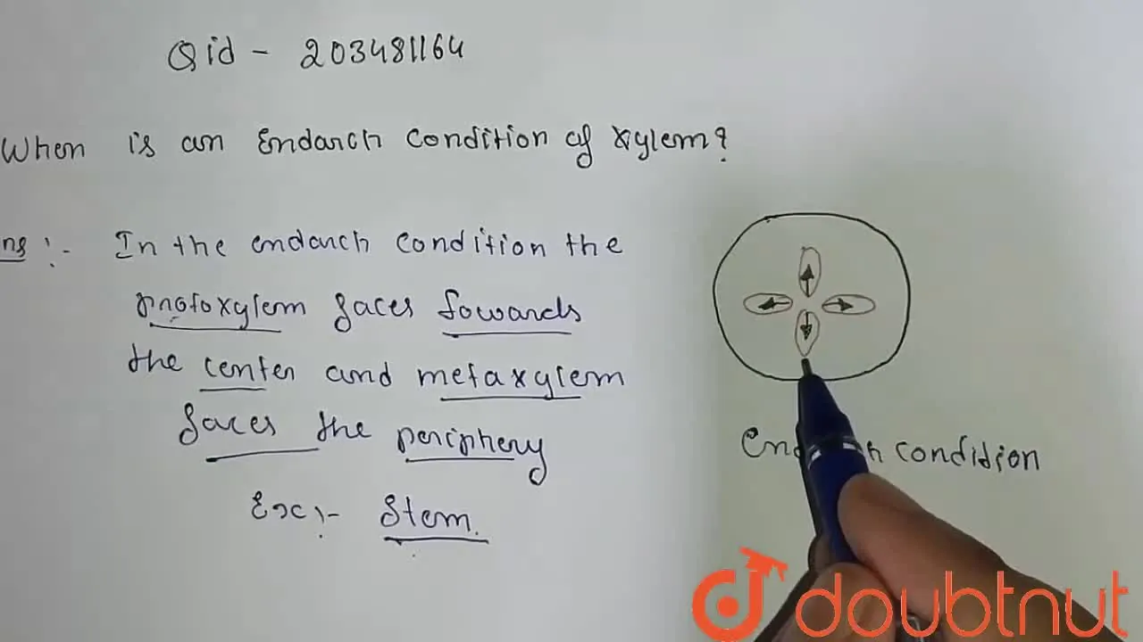 [Kannada Solution] What is an endarch condition of xylem