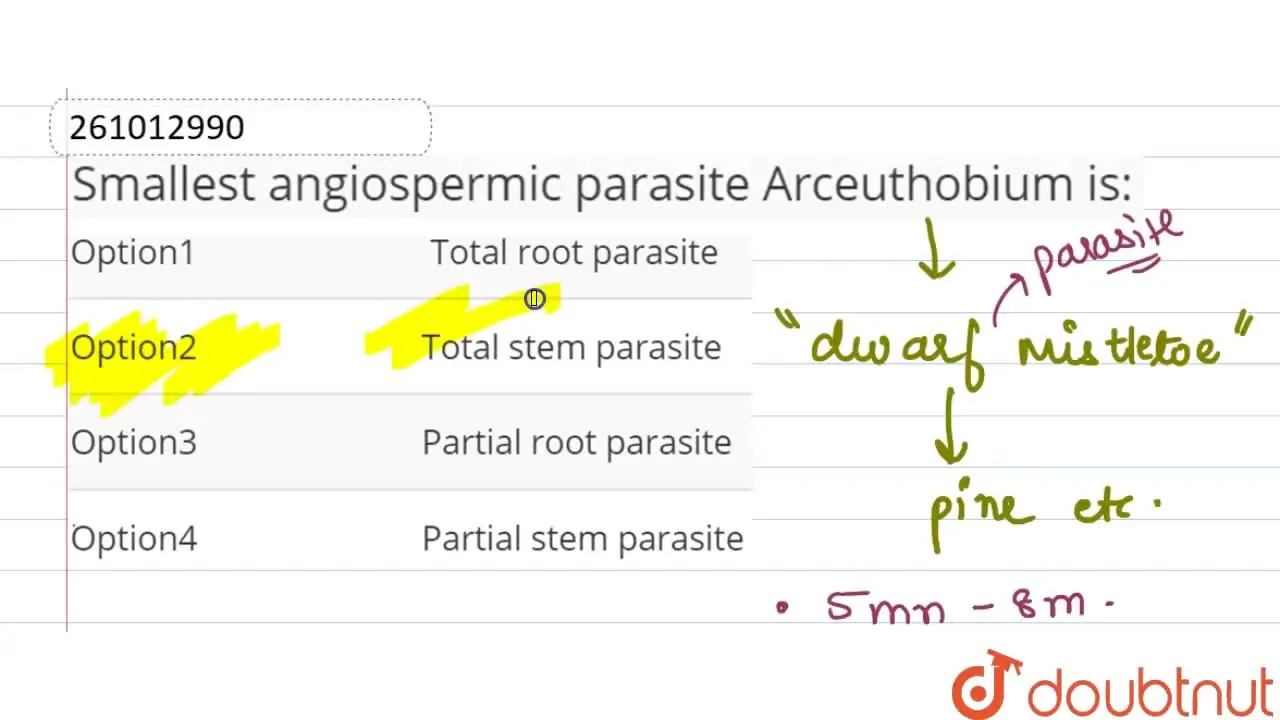 Smallest angiospermic parasite Arceuthobium is: