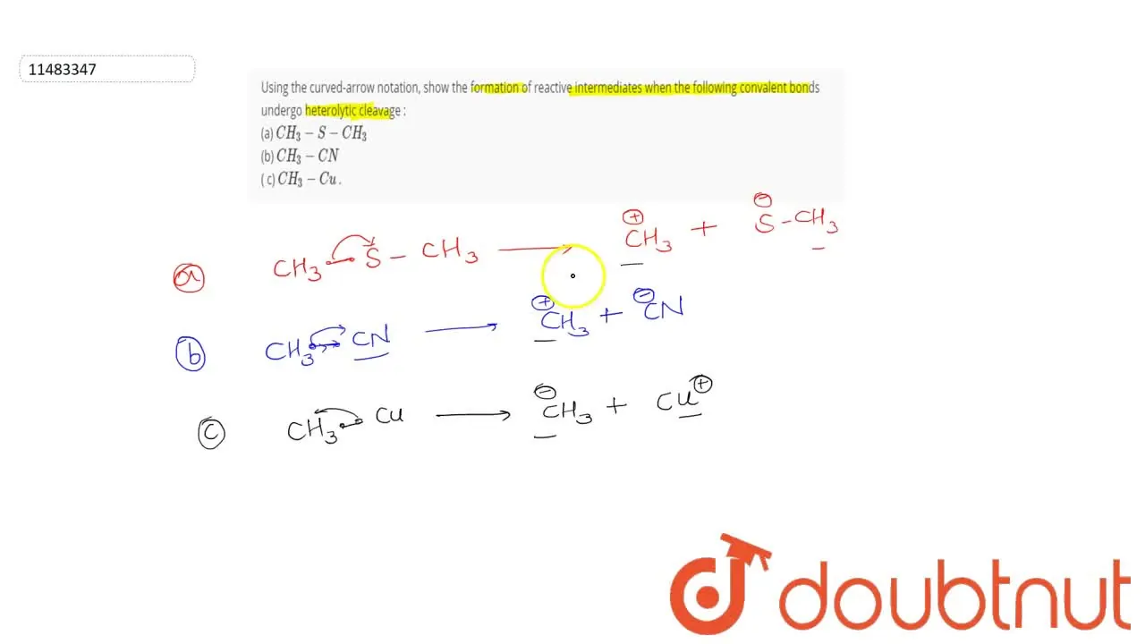 Using the curved-arrow notation, show the formation of reactive interm