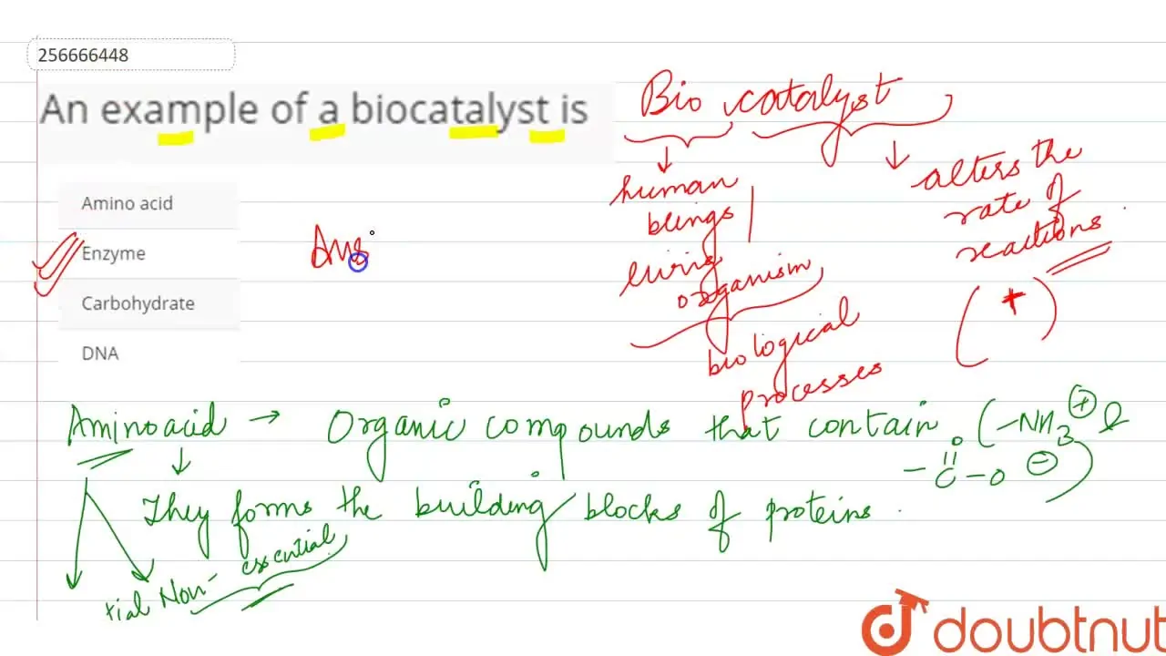 An example of a biocatalyst is