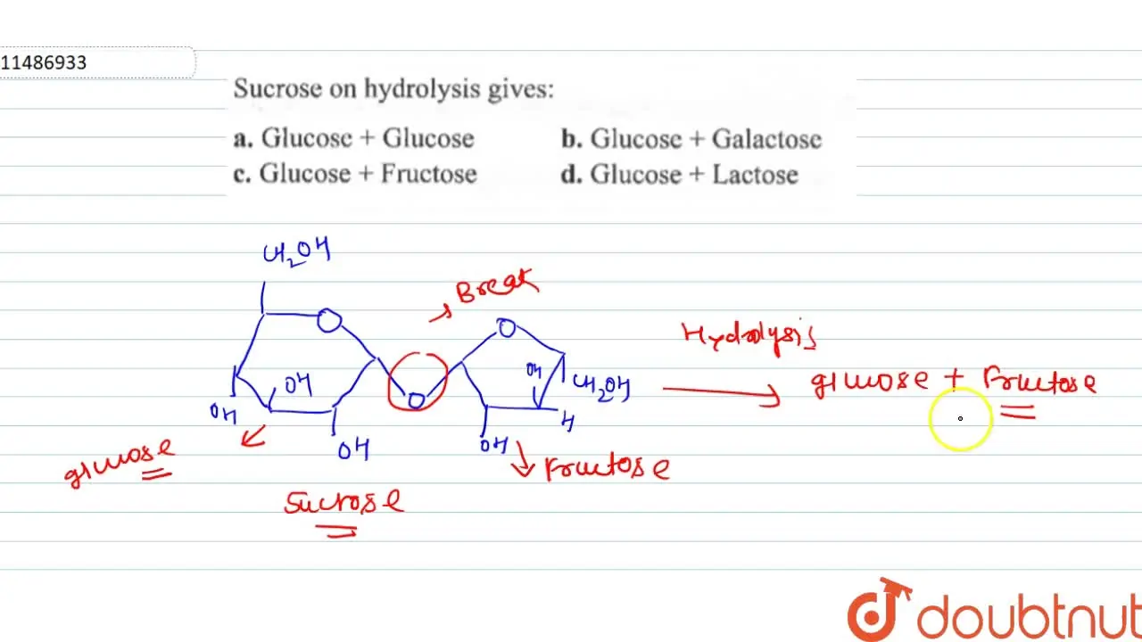 Sucrose on hydrolysis gives: