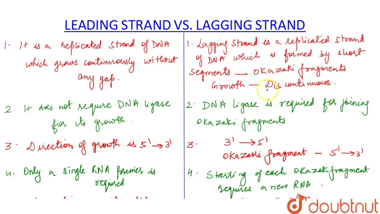 DIFFERENCE BETWEEN LEADING STRAND & LAGGING STRAND