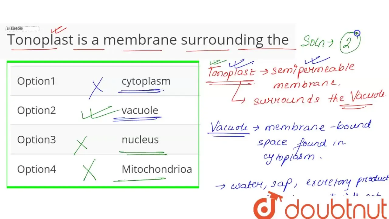 Tonoplast is a membrane surrounding the