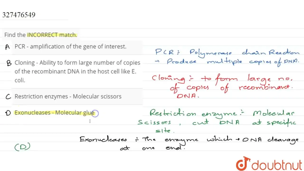 Restriction enzymes - Molecular scissors