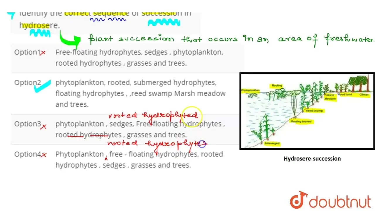 phytoplankton , sedges, Free-floating hydrophytes , rooted hydrophytes