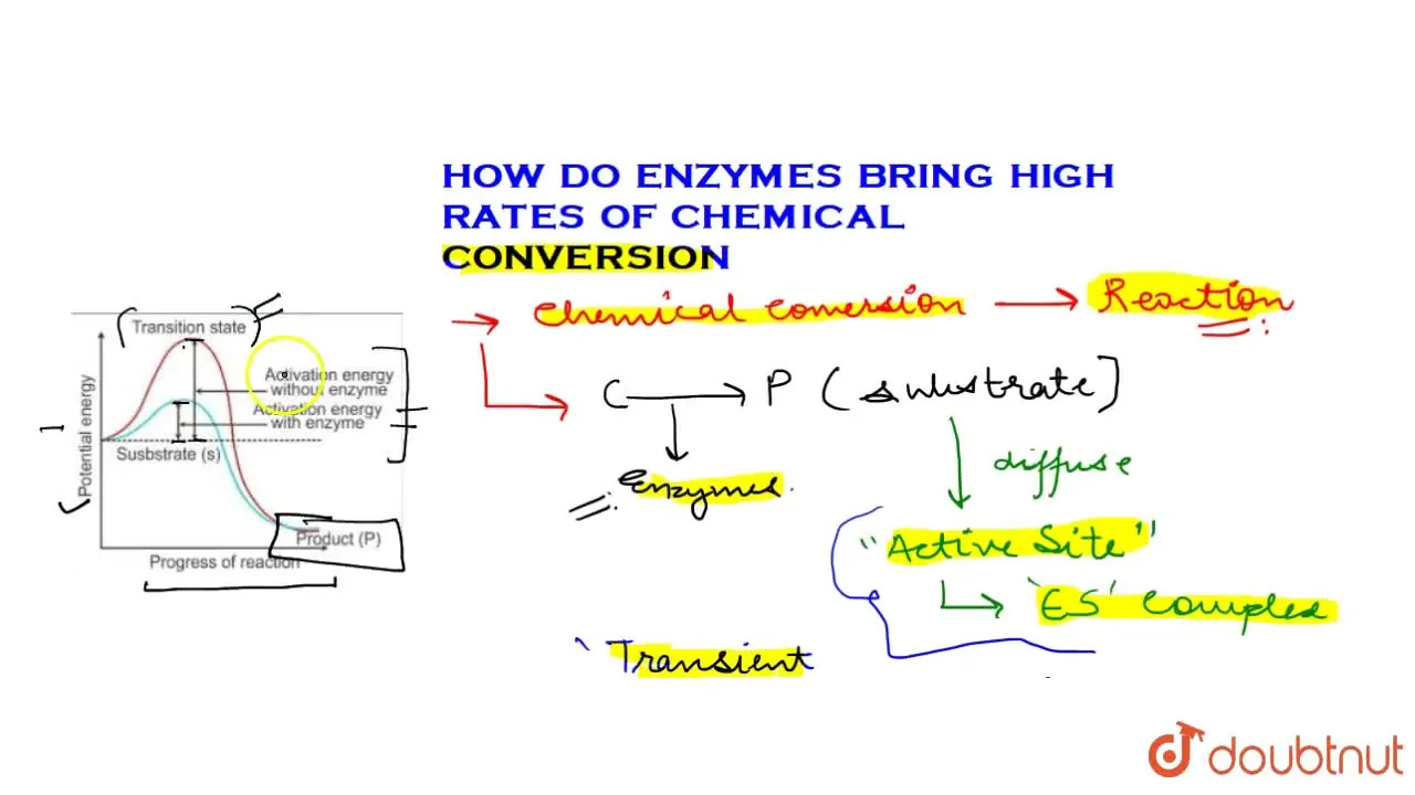 HOW DO ENZYMES BRING ABOUT SUCH HIGH RATES OF CHEMICAL CONVERSIONS?