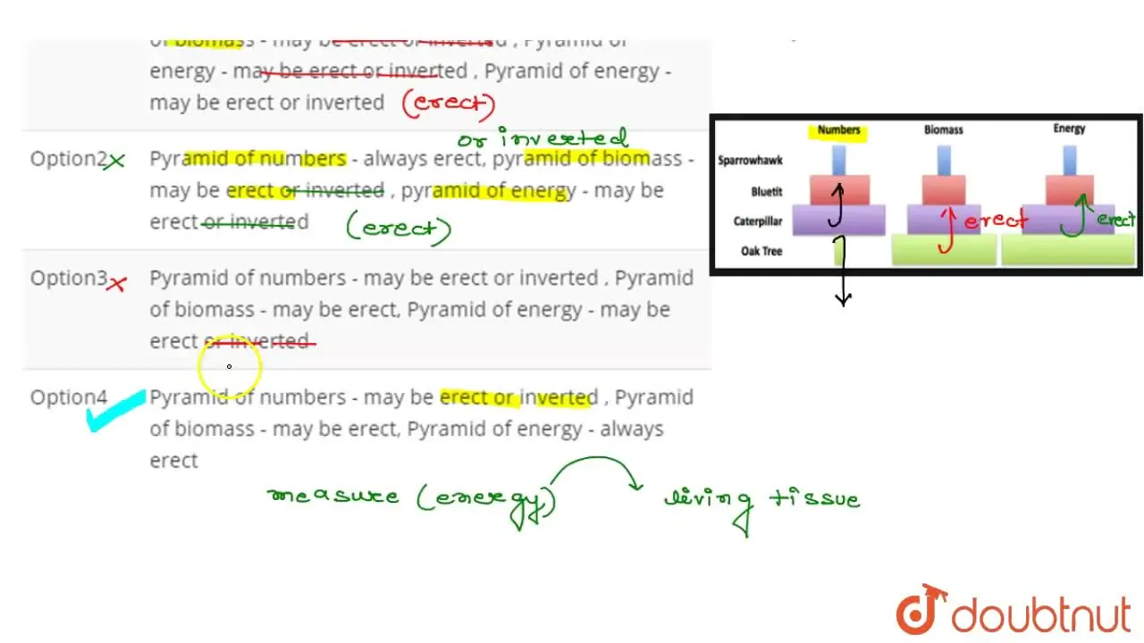 Pyramid of numbers - may be erect or inverted , Pyramid of biomass - m