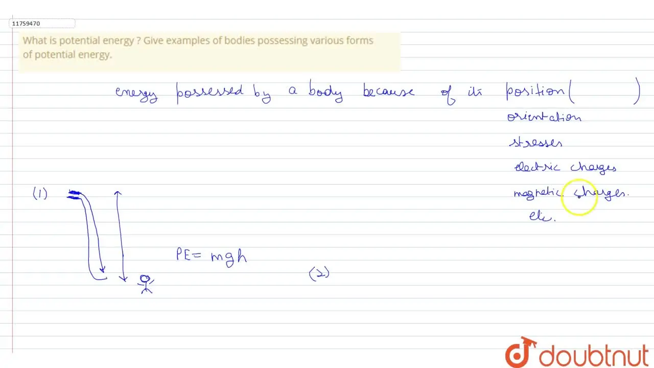 What is potential energy ? Give examples of bodies possessing various