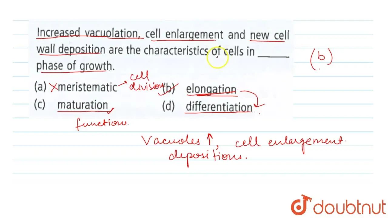 Increased vacuolation, cell enlargement and new cell wall deposition a