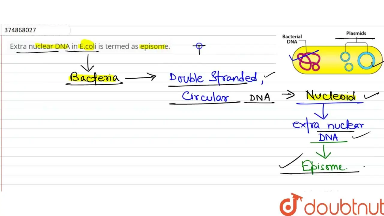 [Bengali Solution] Extra nuclear DNA in E.coli is termed as episome.