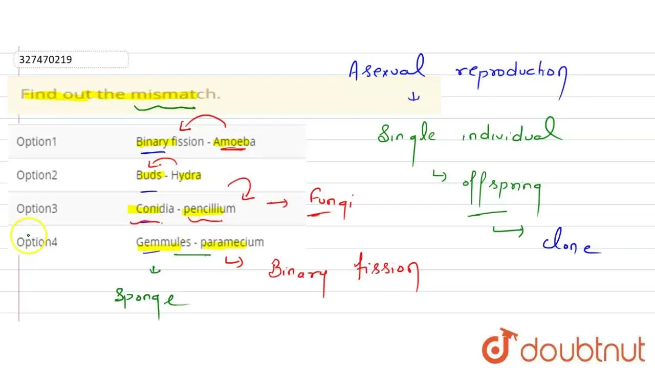 Find out the mismatch.