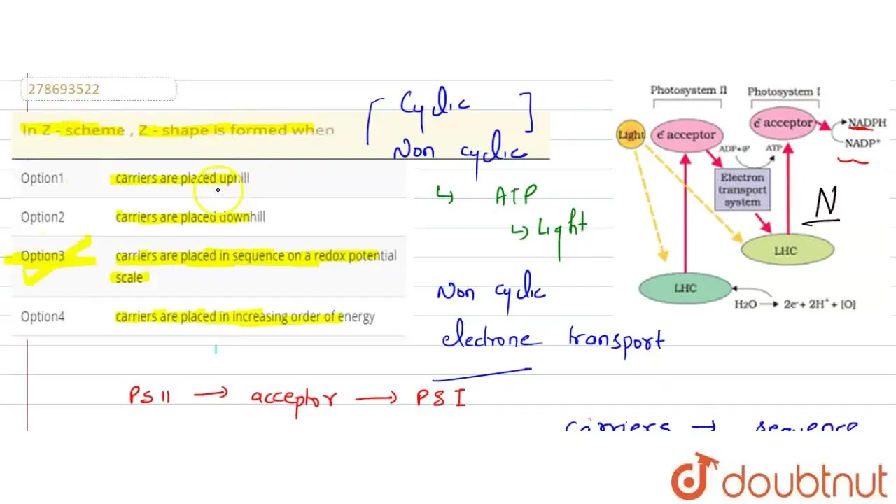 carriers are placed in sequence on a redox potential scale