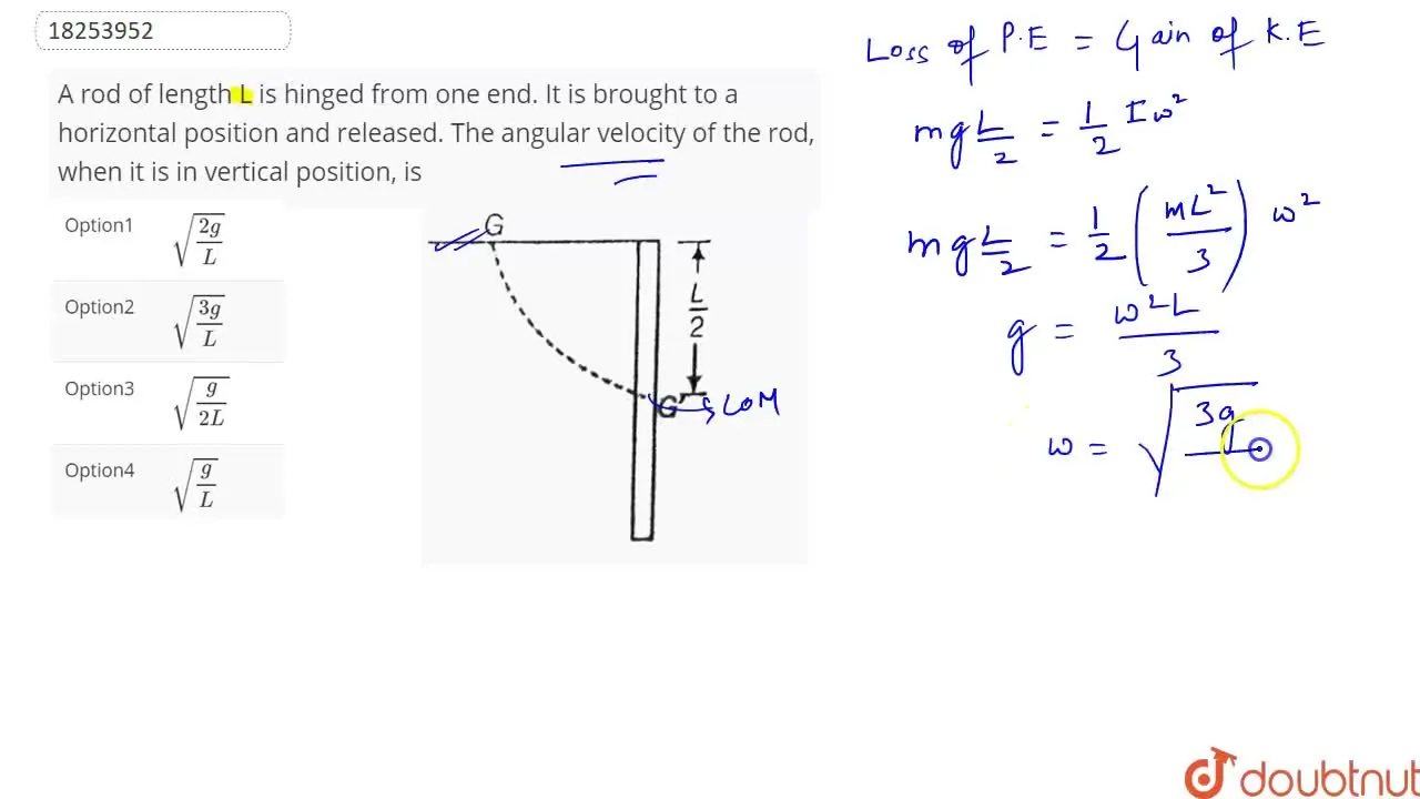 A rod of length L is hinged from one end. It is brought to a horizonta