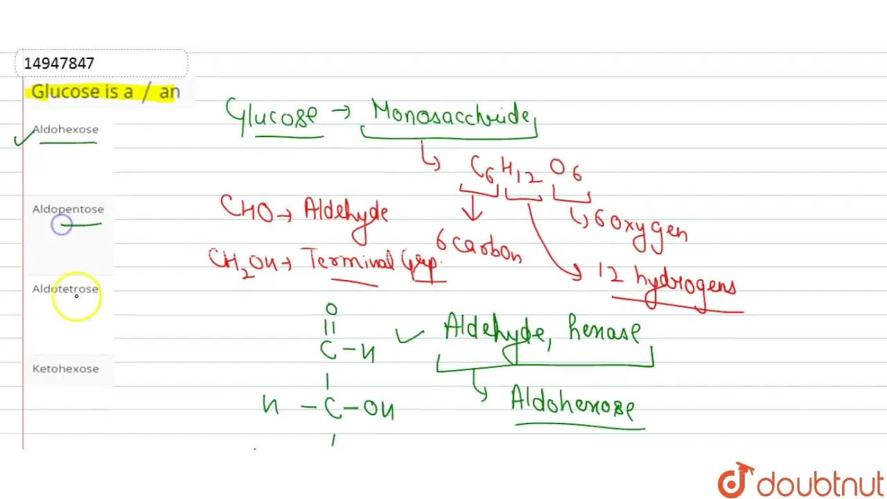 Glucose is a // an