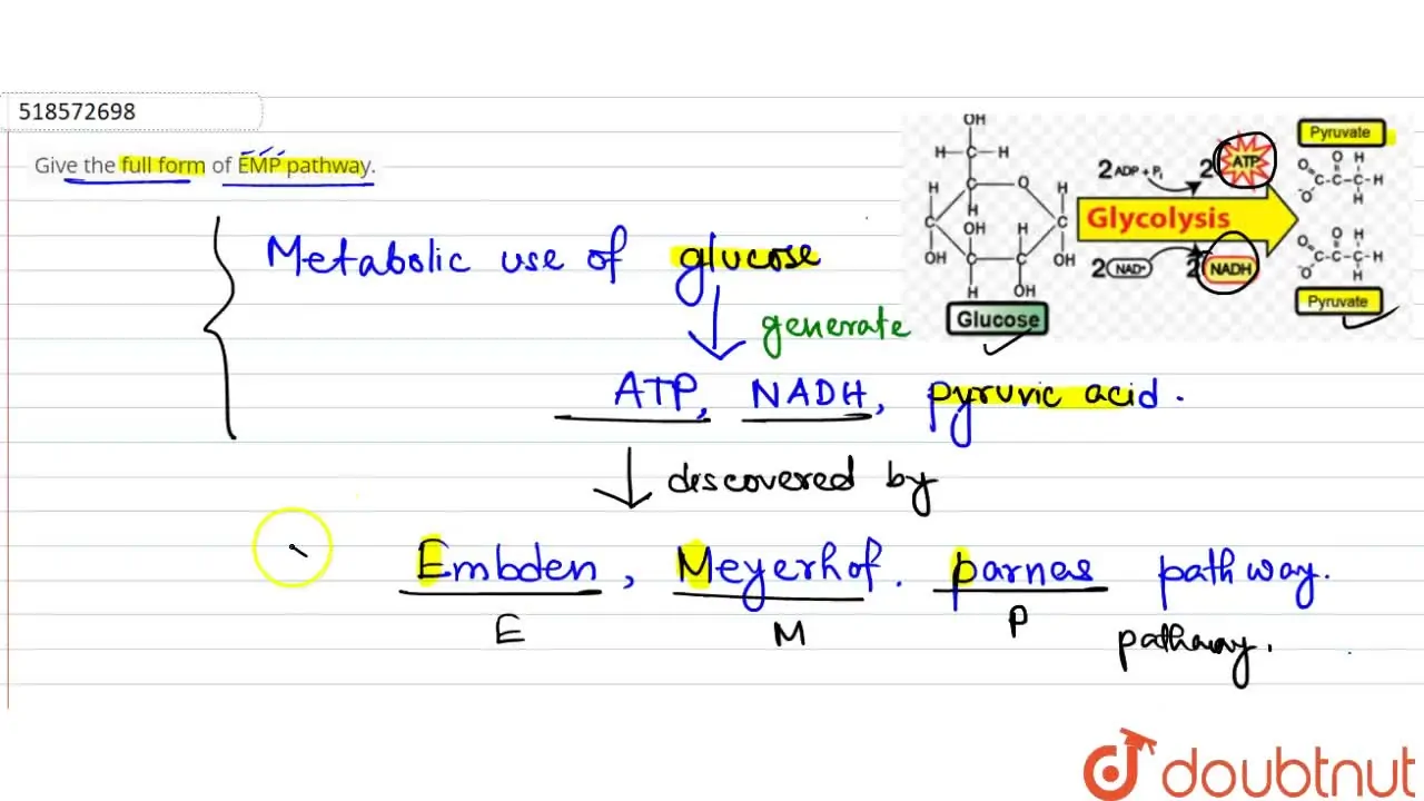 [Bengali Solution] Give the full form of EMP pathway.