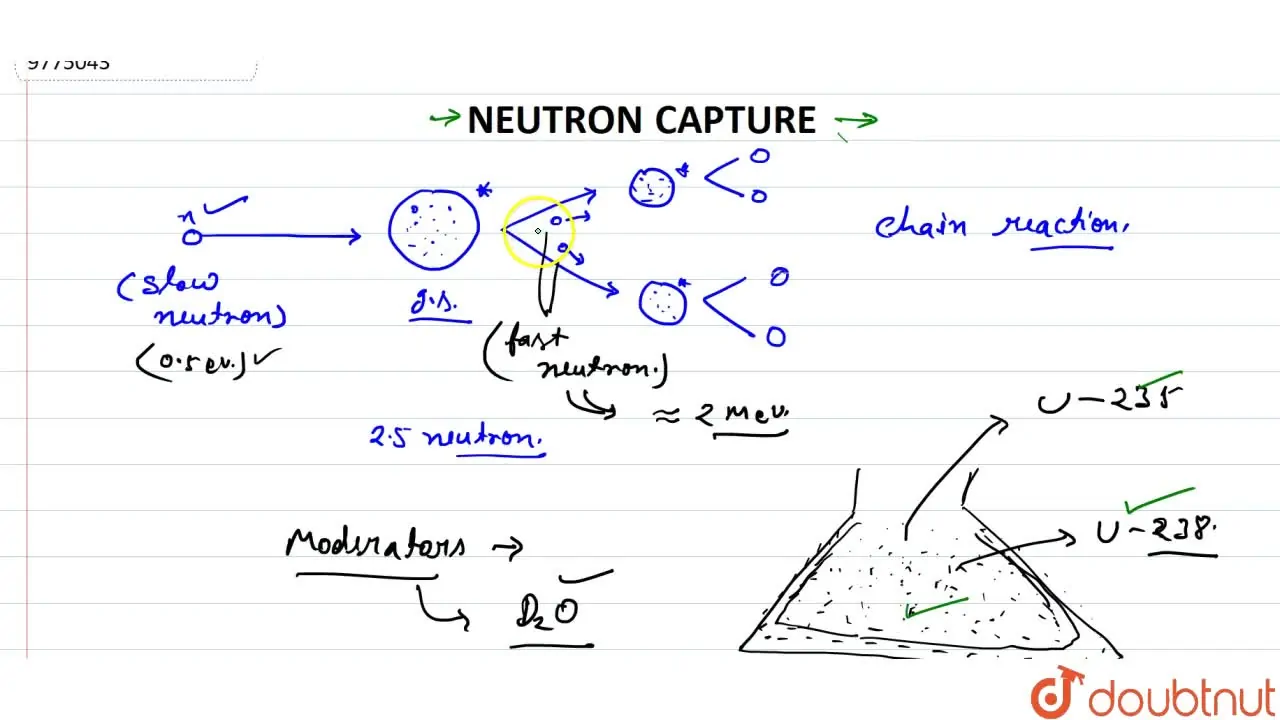 Neutron Capture