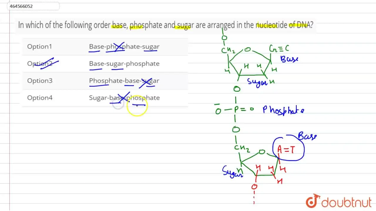 In which of the following order base, phosphate and sugar are arranged