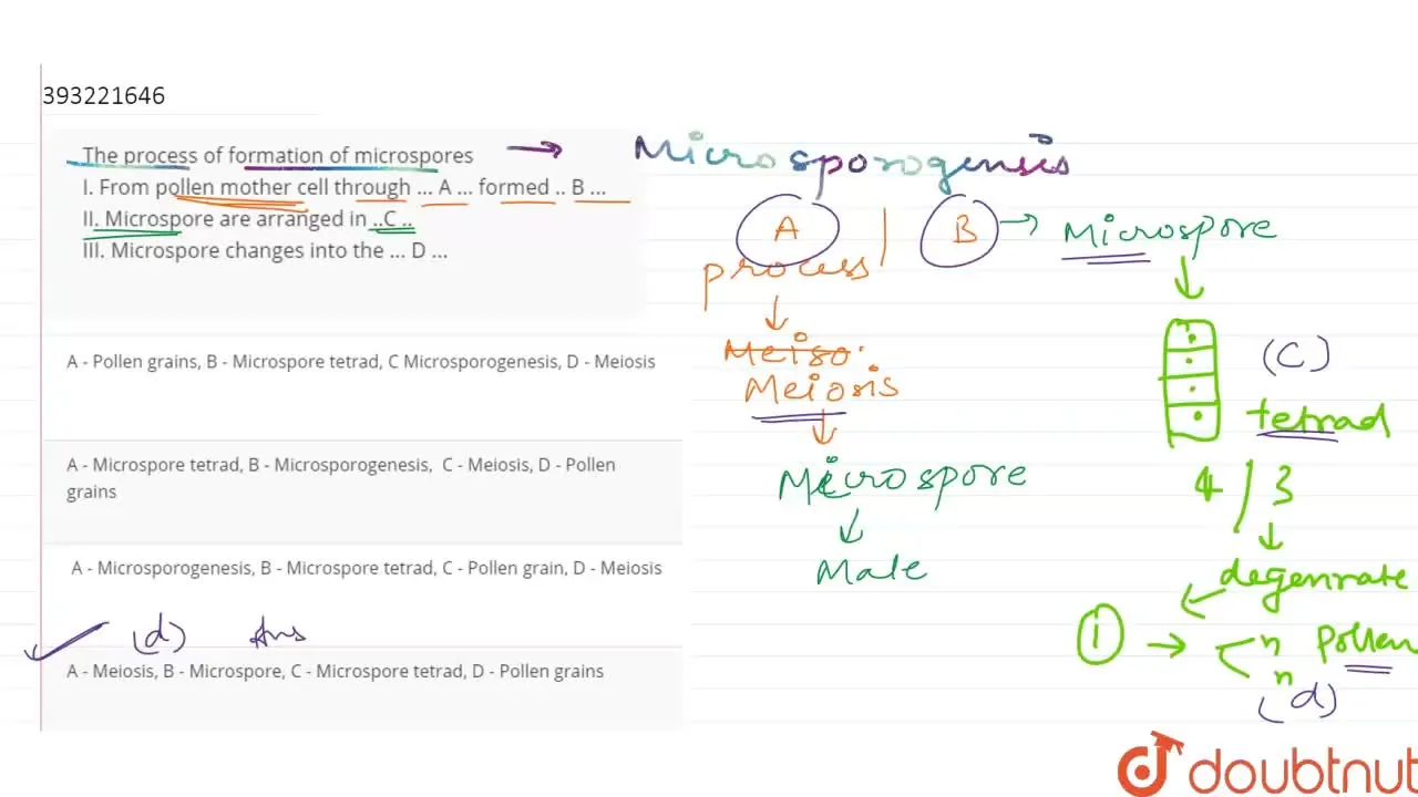 A - Microsporogenesis, B - Microspore tetrad, C - Pollen grain, D - Me