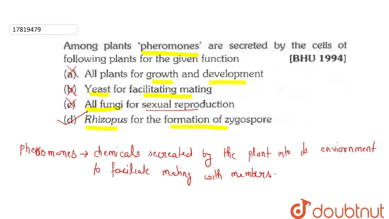 Among plants ' pheromones' are secrted by the cells of following plant