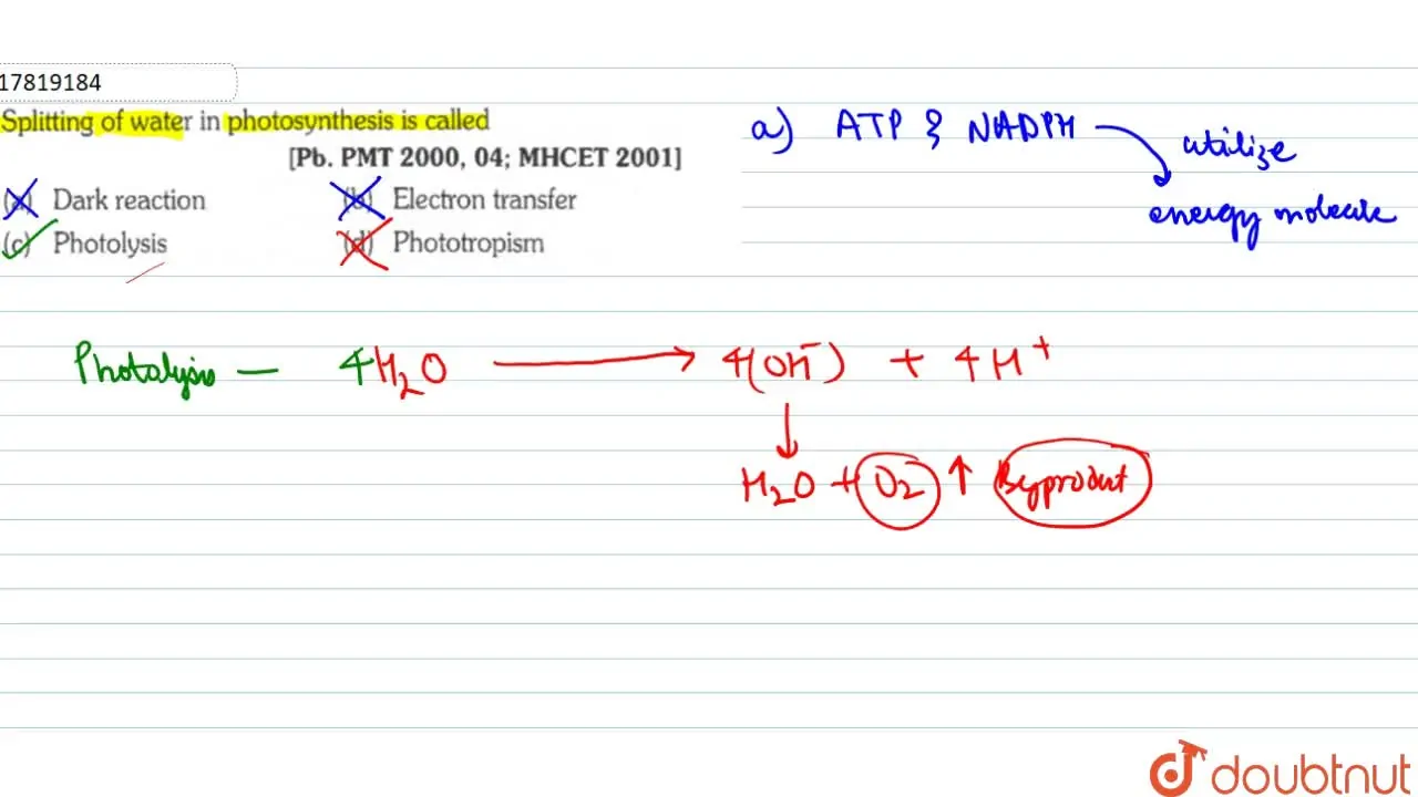 Splitting of water in photosynthesis is called