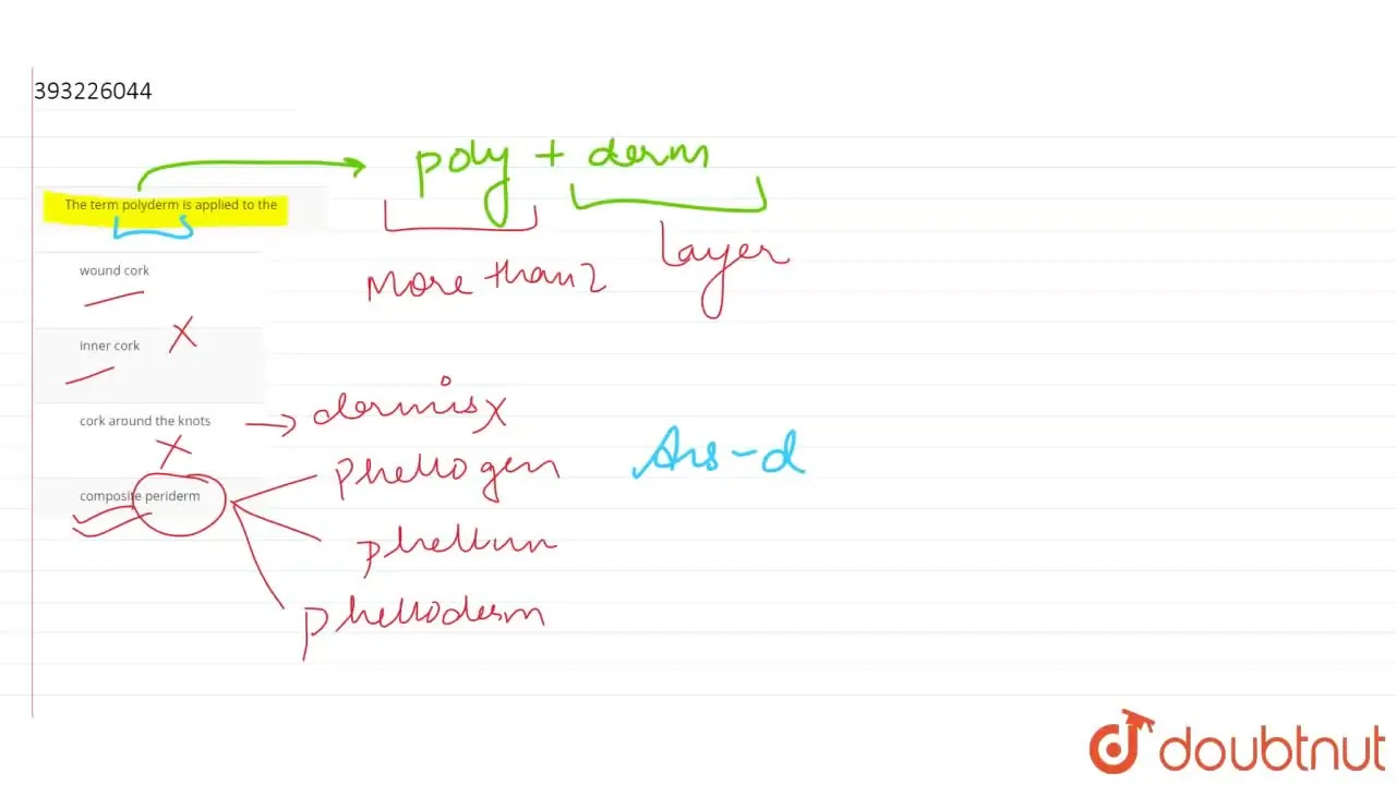 The term polyderm is applied to the