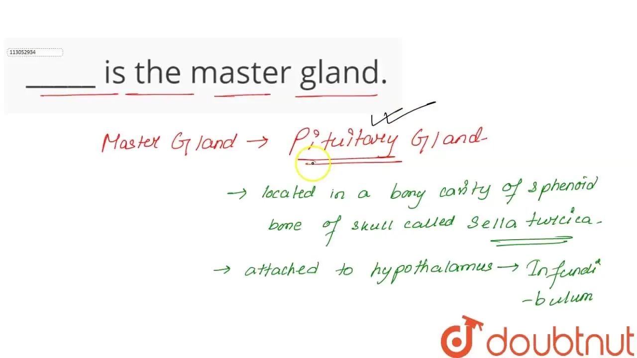 is the master gland.
