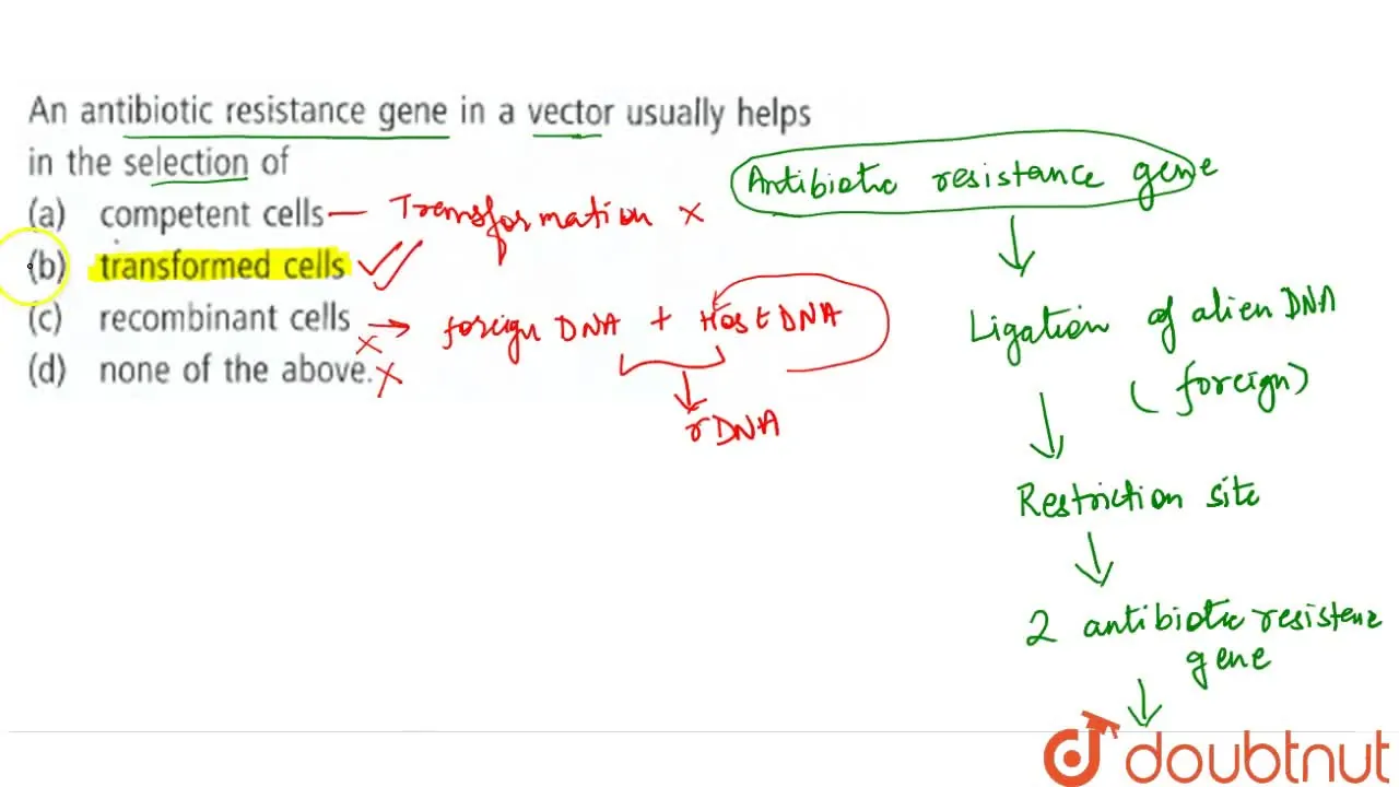 An antibiotic resistance gene in a vector usually helps in the selecti