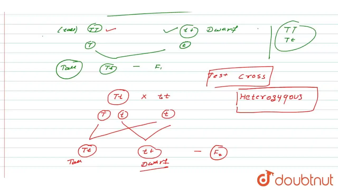 Define and design a test − cross?