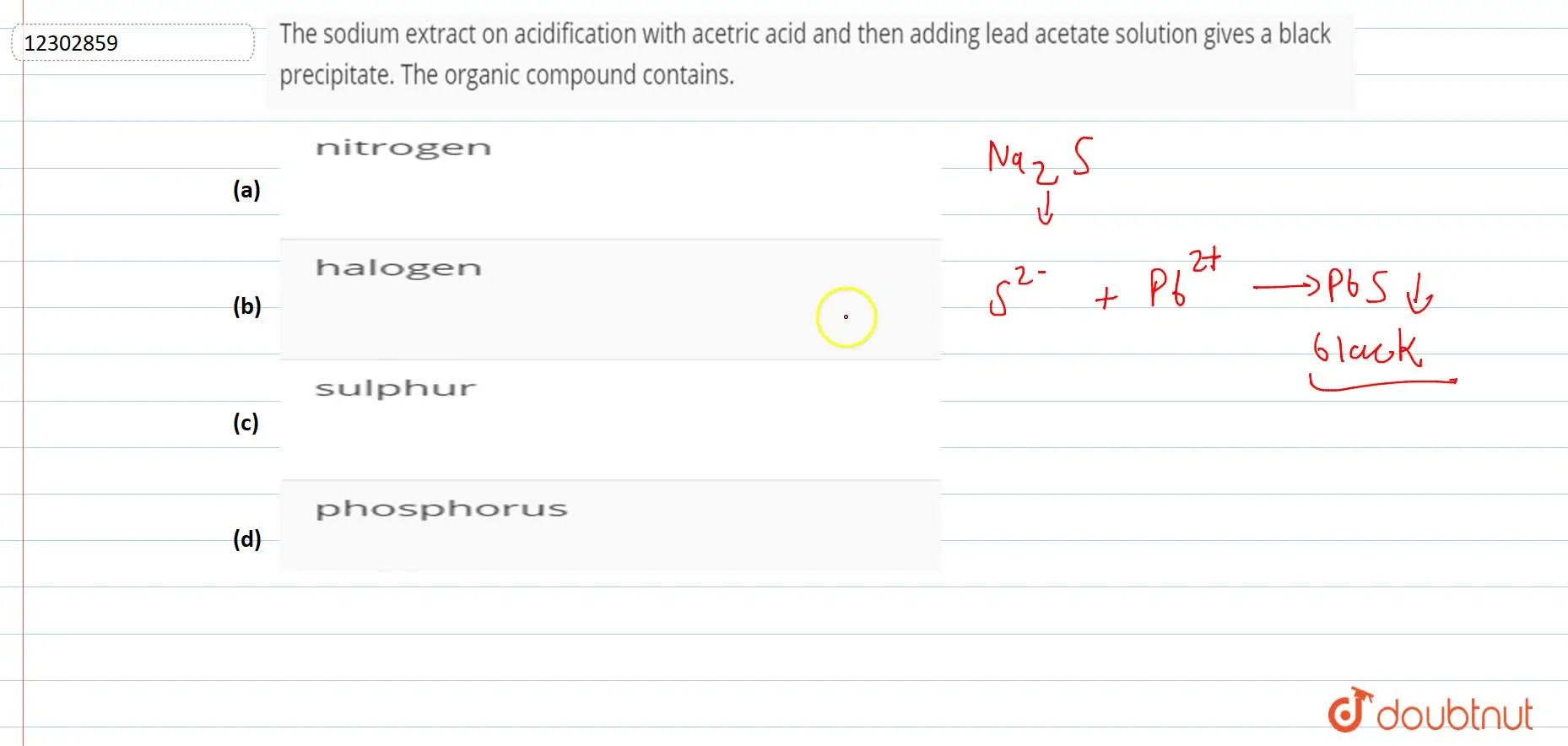 The sodium extract on acidification with acetric acid and then adding