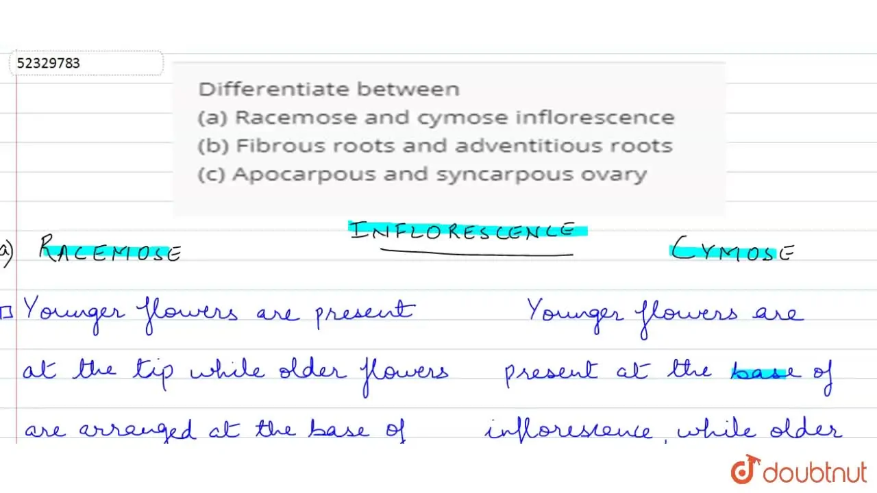 Differentiate between (a) Racemose and cymose inflorescence (b