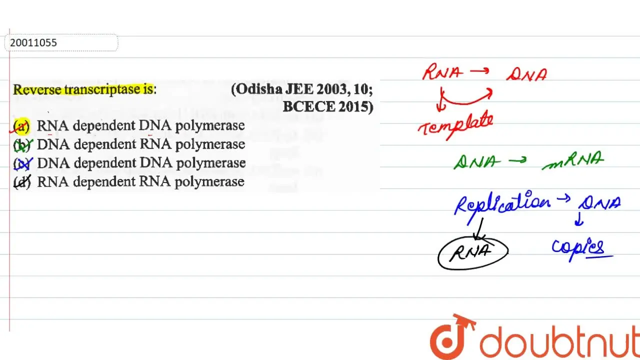 Reverse transcriptase is