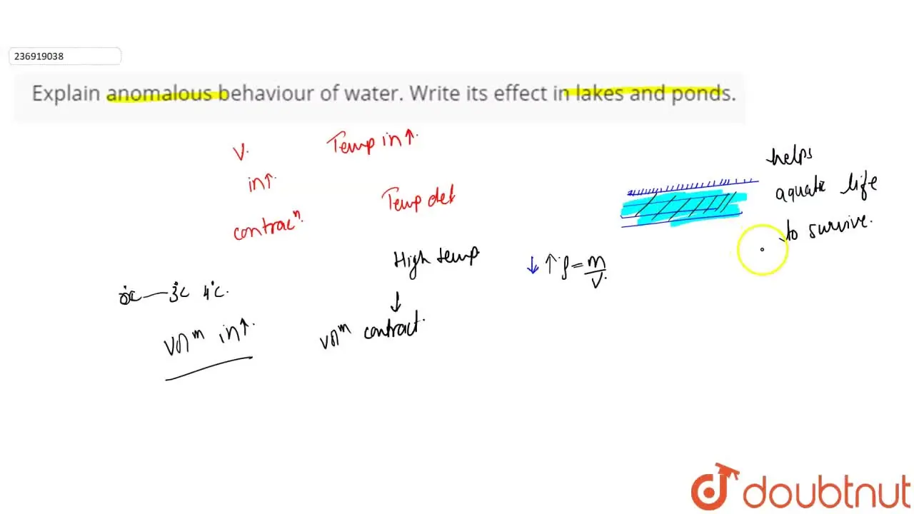 Explain anomalous behaviour of water. Write its effect in lakes and po