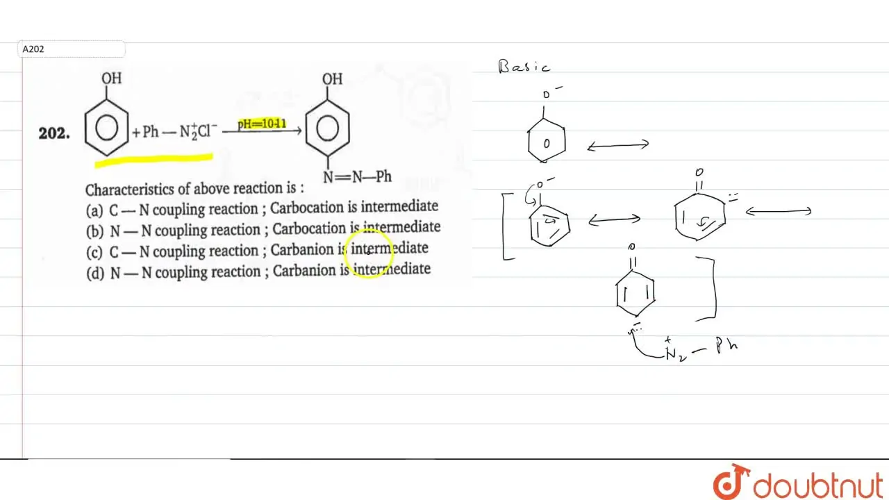 C - N coupling reaction, Carbanion is intermediate