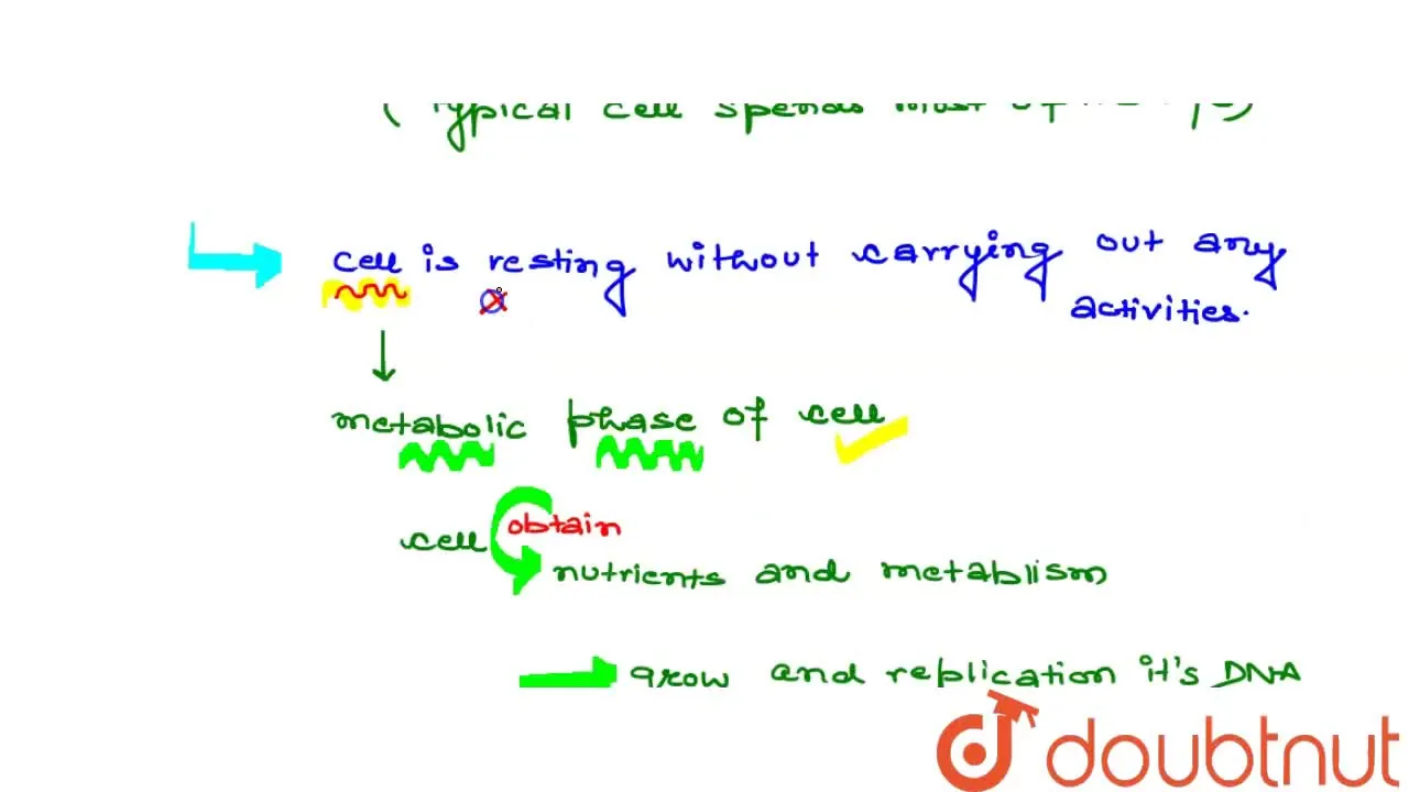 What is interphase? Why was it previously known as resting phase?