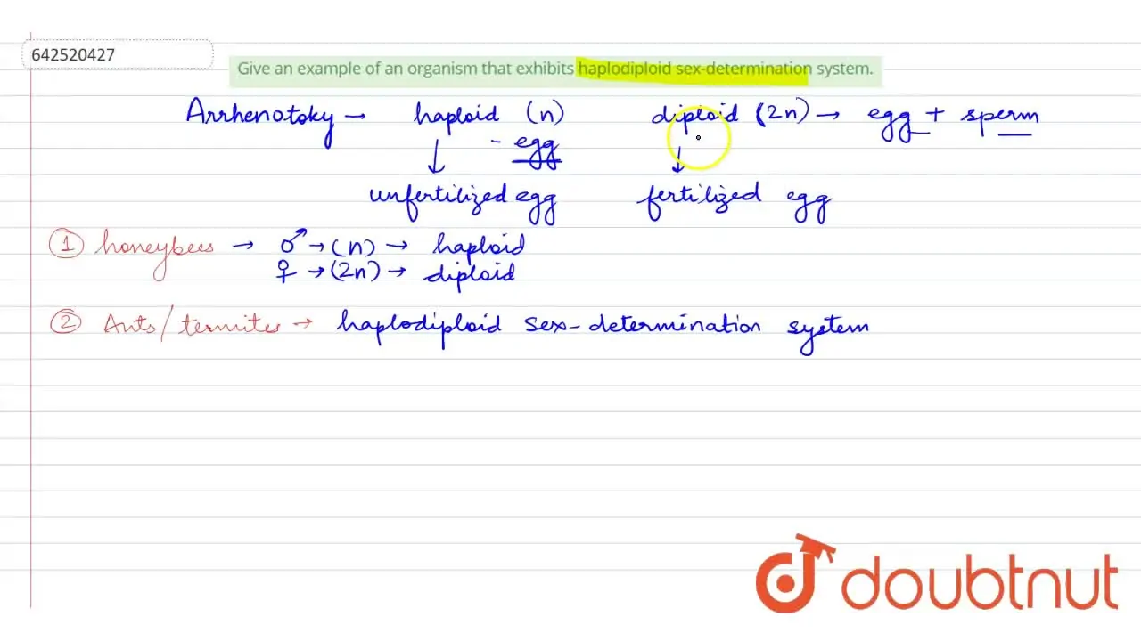 Give an example of an organism that exhibits haplodiploid sex-determin