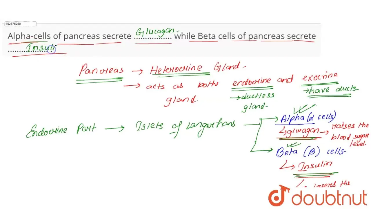 Alpha-cells of pancreas secrete …………….. while Beta cells of pancreas s