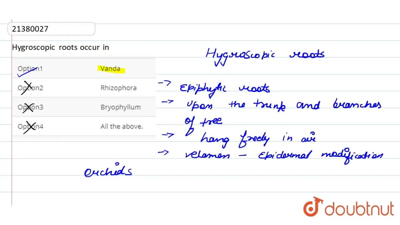 Hygroscopic roots occur in