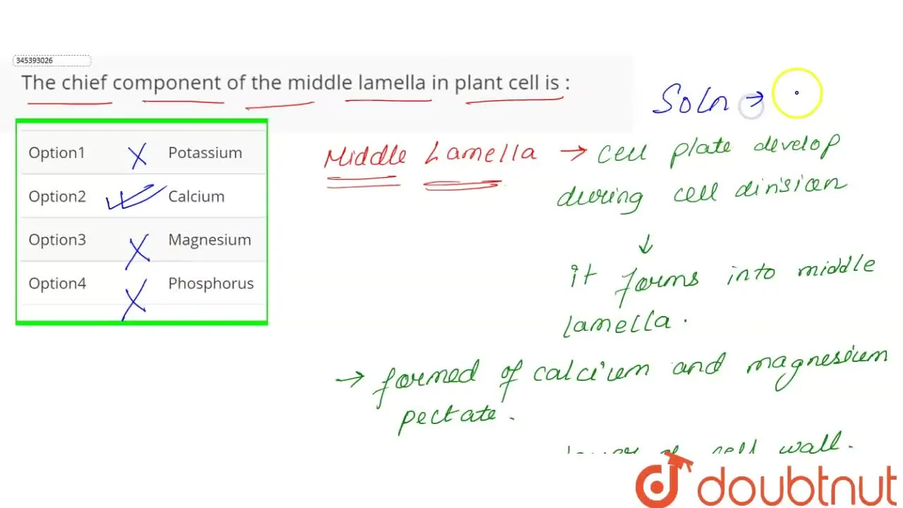 The chief component of the middle lamella in plant cell is