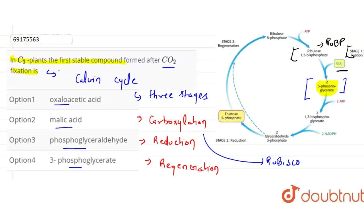 In C3 -plants the first stable compound formed after CO2 fixation is