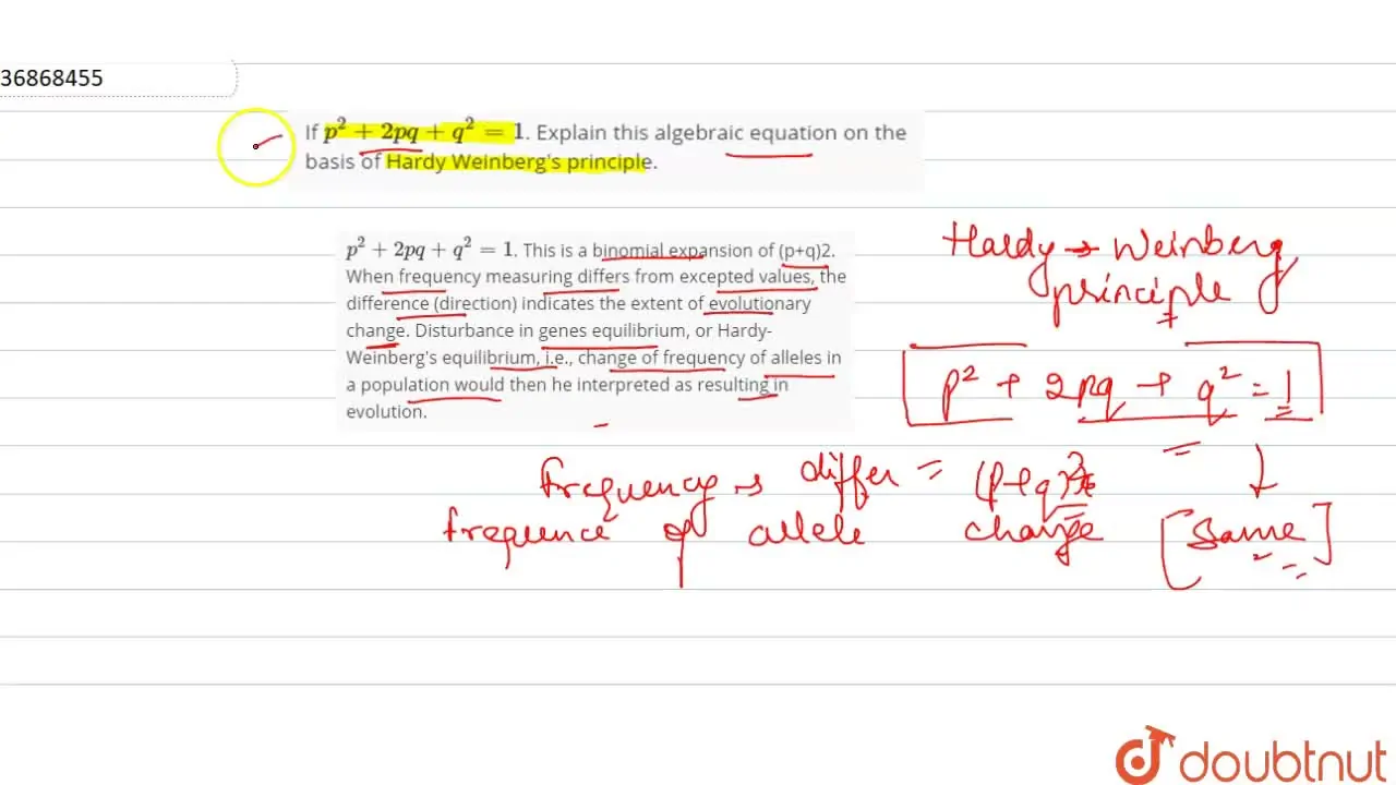 If p^(2)+2pq+q^(2)=1. Explain this algebraic equation on the basis of