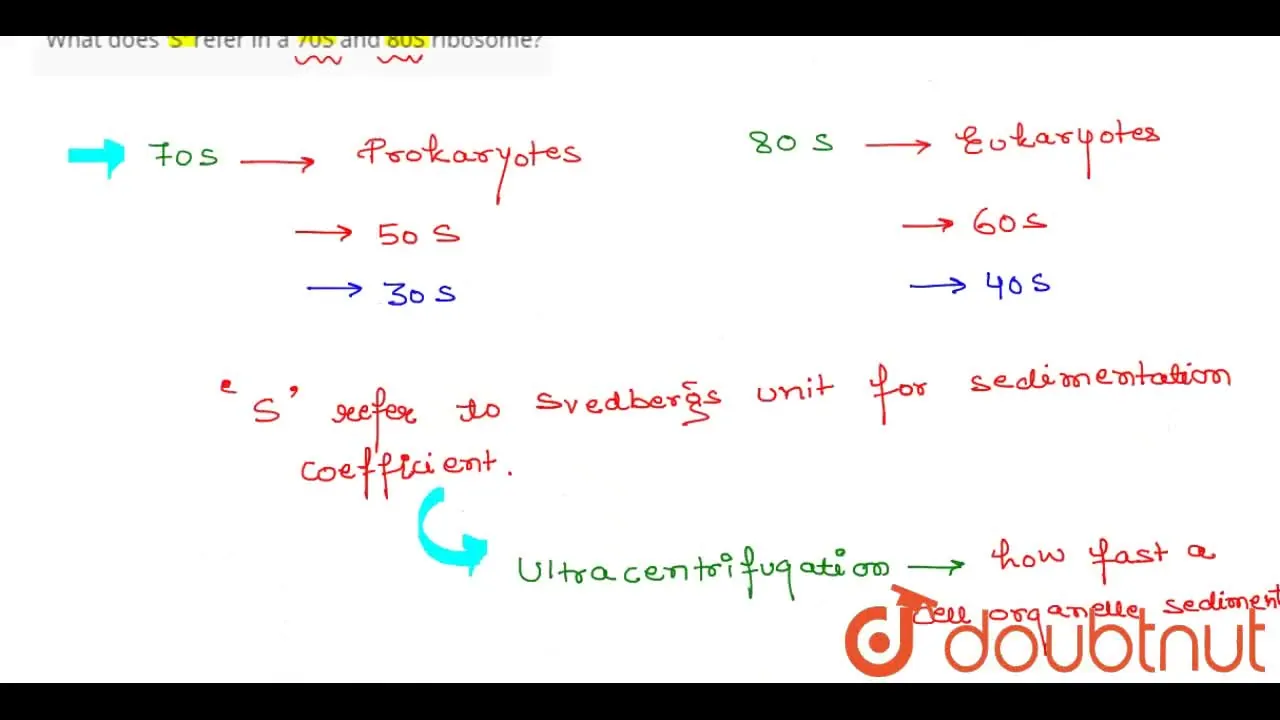 What does 'S' refer in a 70S and 80S ribosome?