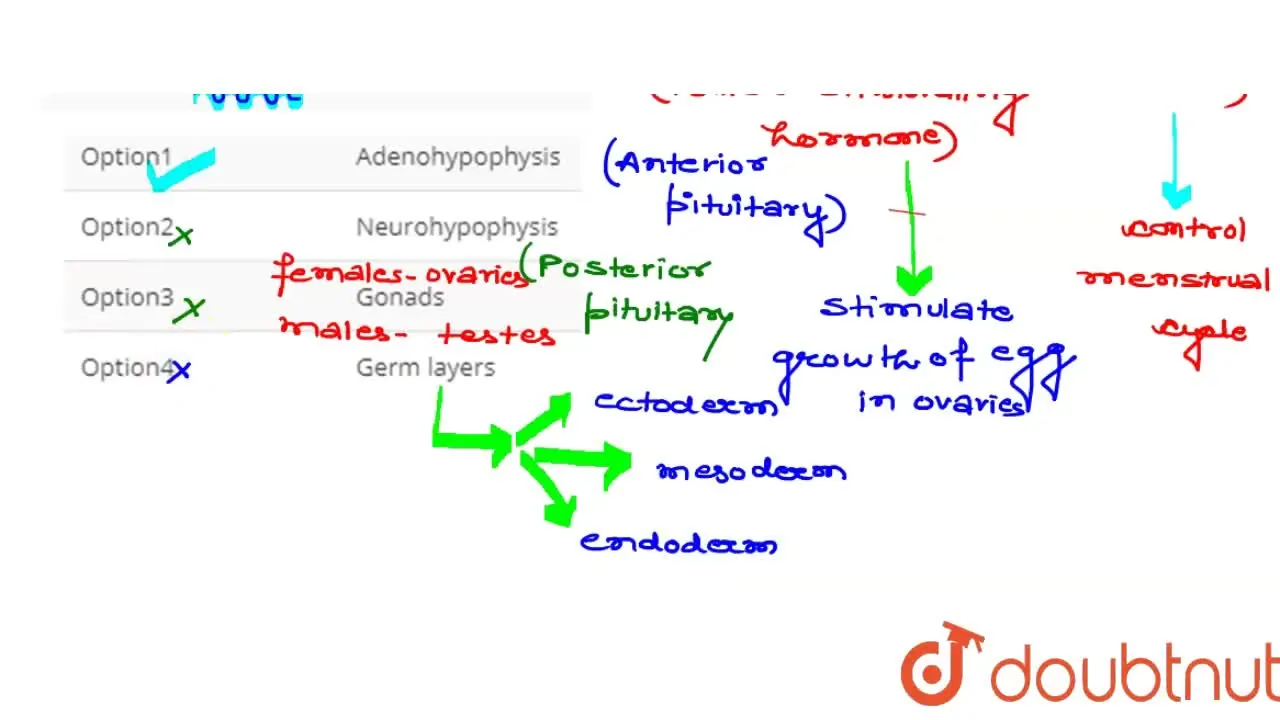 Gonadotropic hormone is released by