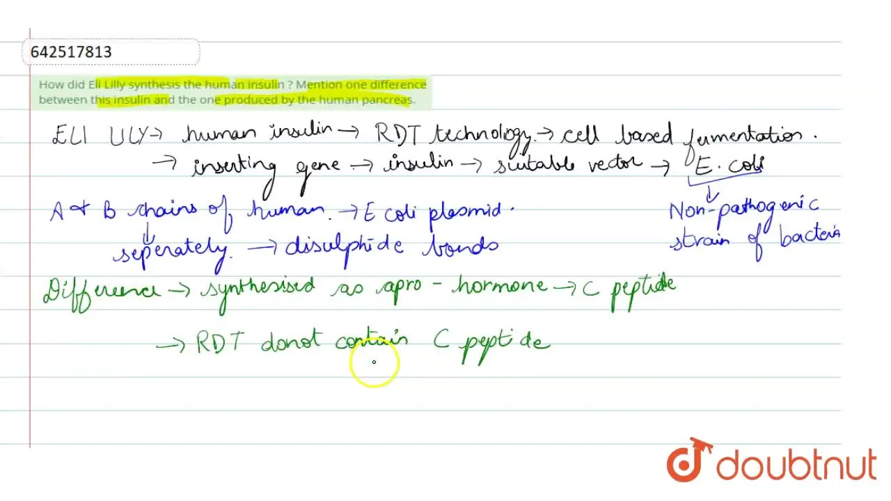 How did Eli Lilly synthesis the human insulin ? Mention one difference
